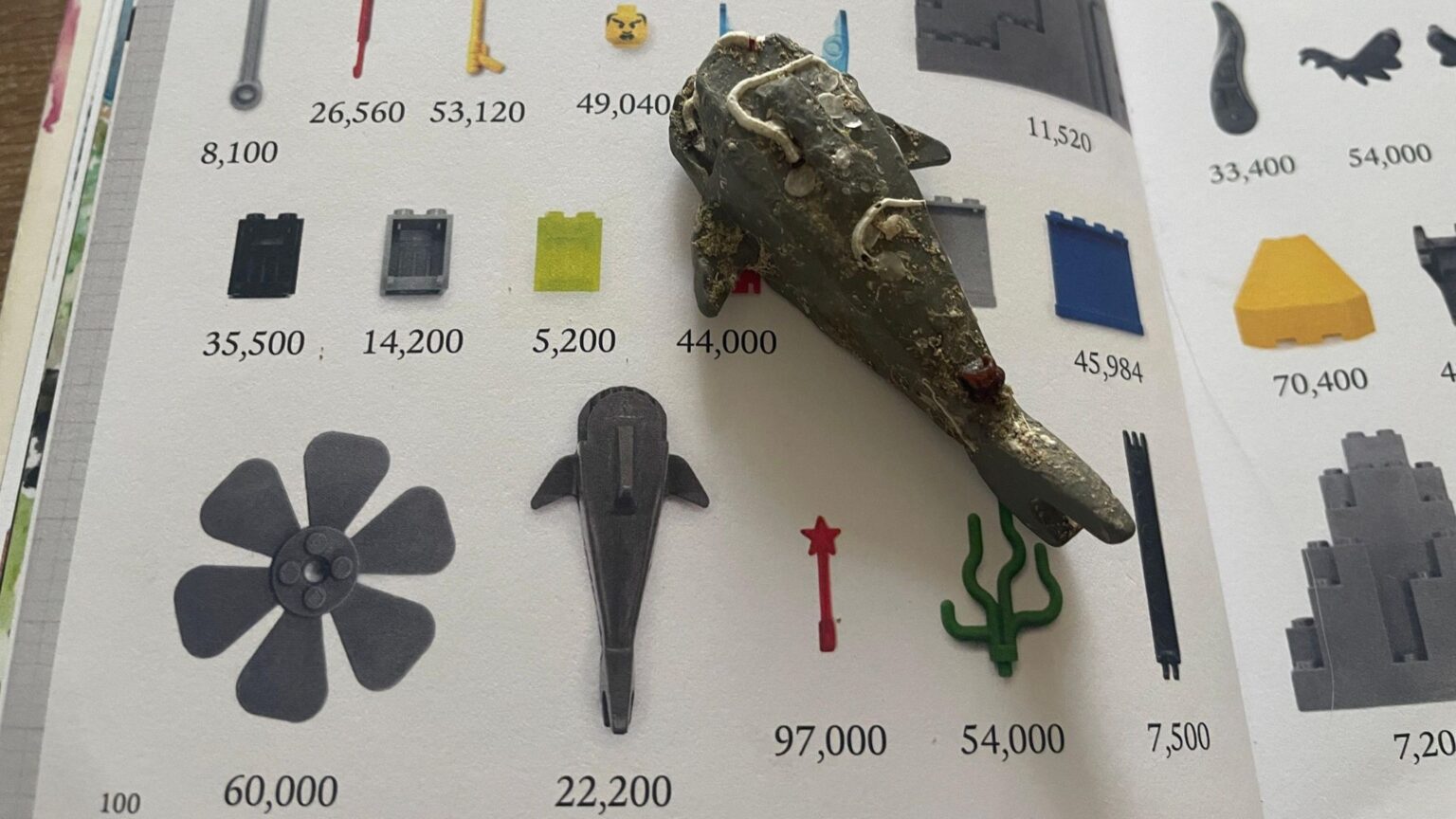 Fisherman Nets First 'Lost' Lego Shark from 1997 Cargo Spill